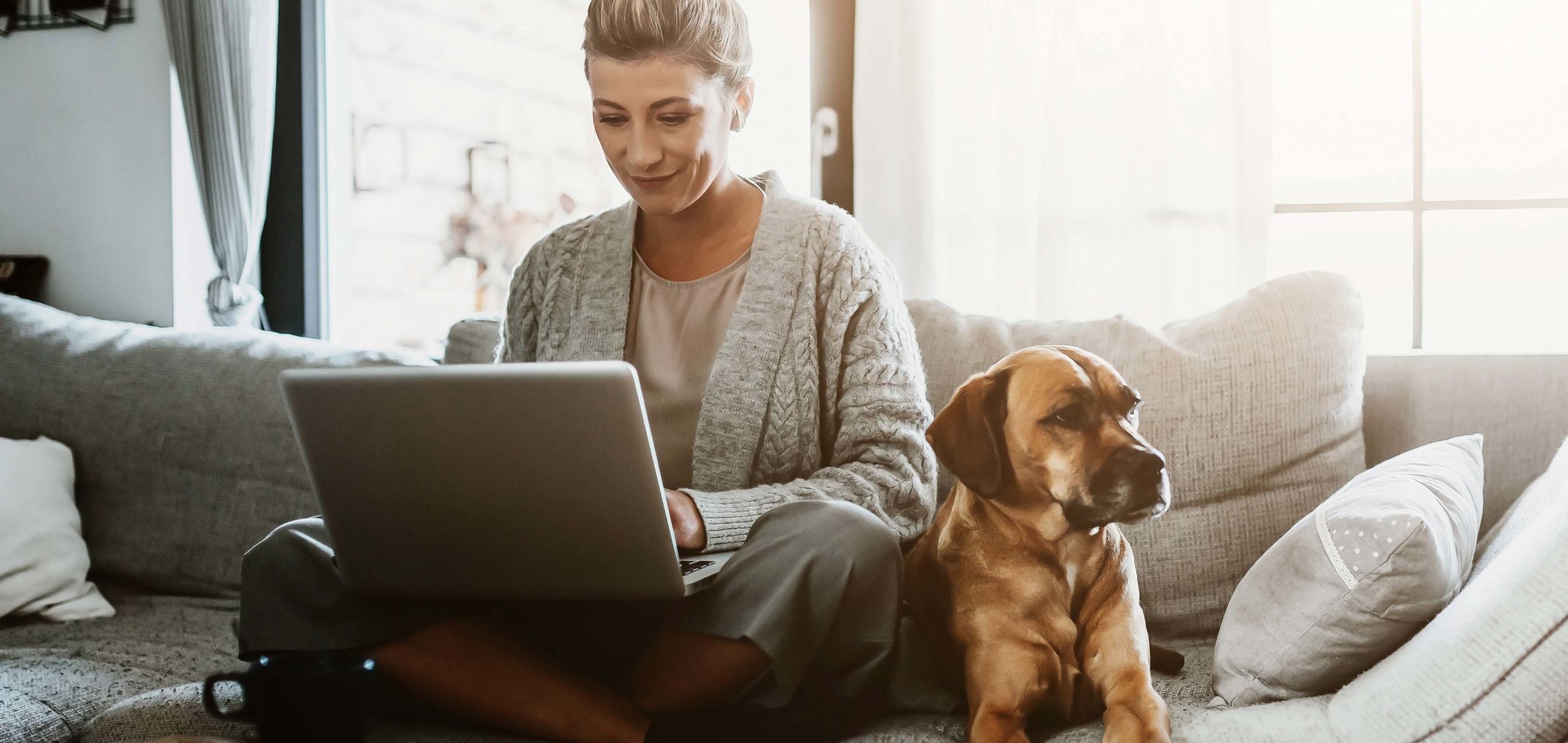 VetSummit veterinary conference | Brought to you by Covetrus